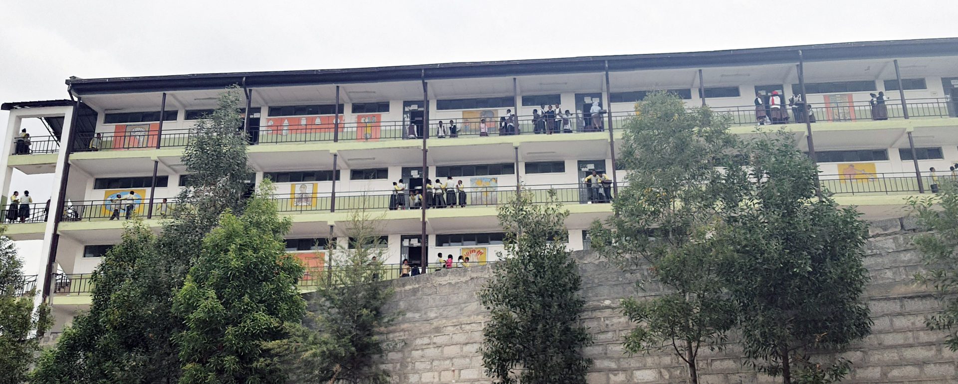 በአዲስ አበባ ከተማ ባሉ ትምህርት ቤቶች የኦሮምኛ ቋንቋ በተጨማሪነት መሰጠት ተጀመረ | Ethiopia Insider